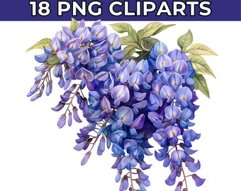Wisteria Clipart Watercolor Clipart Paper Crafts Purple Flowers ...