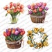 Watercolor Tulips Clipart | Spring Floral Bouquet | Wedding Clipart ...