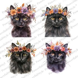 Cats Clipart Bundle Cute Cat PNG Kitten Graphics Happy Baby Animals ...