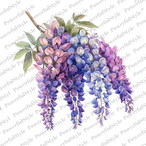 Wisteria Clipart | Watercolor Clipart | Paper Crafts | Purple Flowers ...