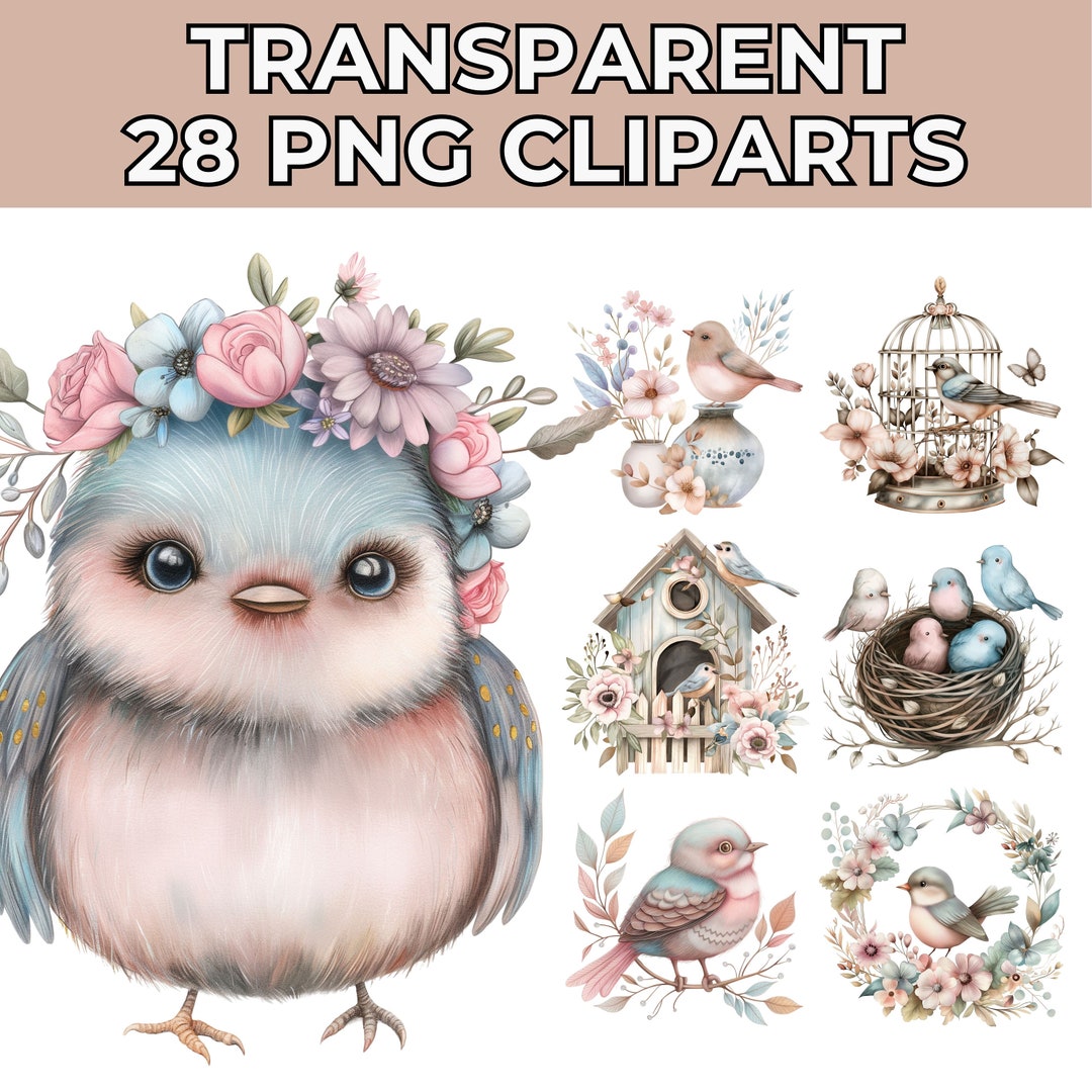 28 Boho Songbirds Watercolor Clipart Bundle | Cute Floral Birds for ...