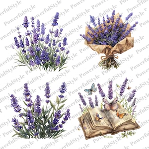 Lavender PNG Clipart Bundle: Watercolor Lavender Flowers, Floral Clip ...