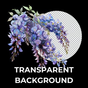 Wisteria Clipart | Watercolor Clipart | Paper Crafts | Purple Flowers ...