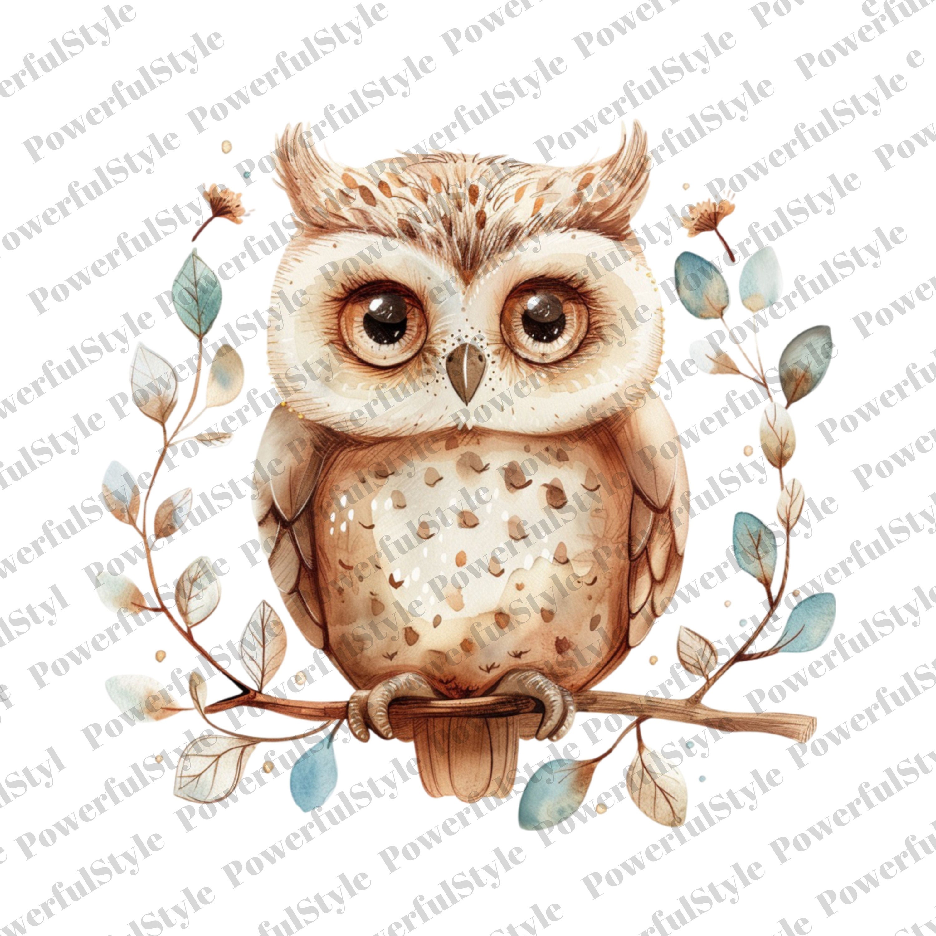 14 Adorable Owl Clipart, Watercolor Owl Illustration, Cute Aquarelle ...