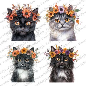 Cats Clipart Bundle Cute Cat PNG Kitten Graphics Happy Baby Animals ...