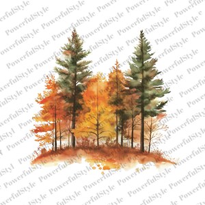 Autumn Forest Watercolor Clipart: Landscape PNG Bundle - Etsy