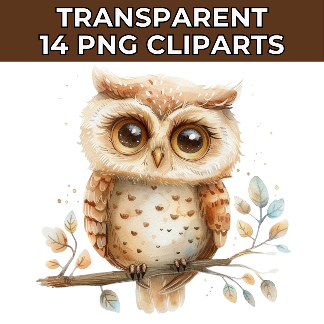 14 Adorable Owl Clipart, Watercolor Owl Illustration, Cute Aquarelle ...
