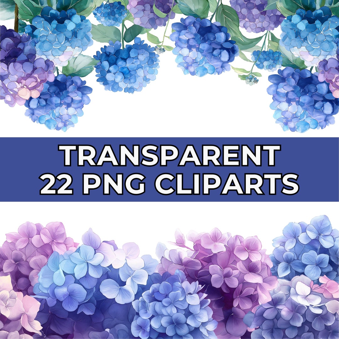 Hydrangeas Borders Watercolor Clipart - Floral Clipart for Sublimation ...
