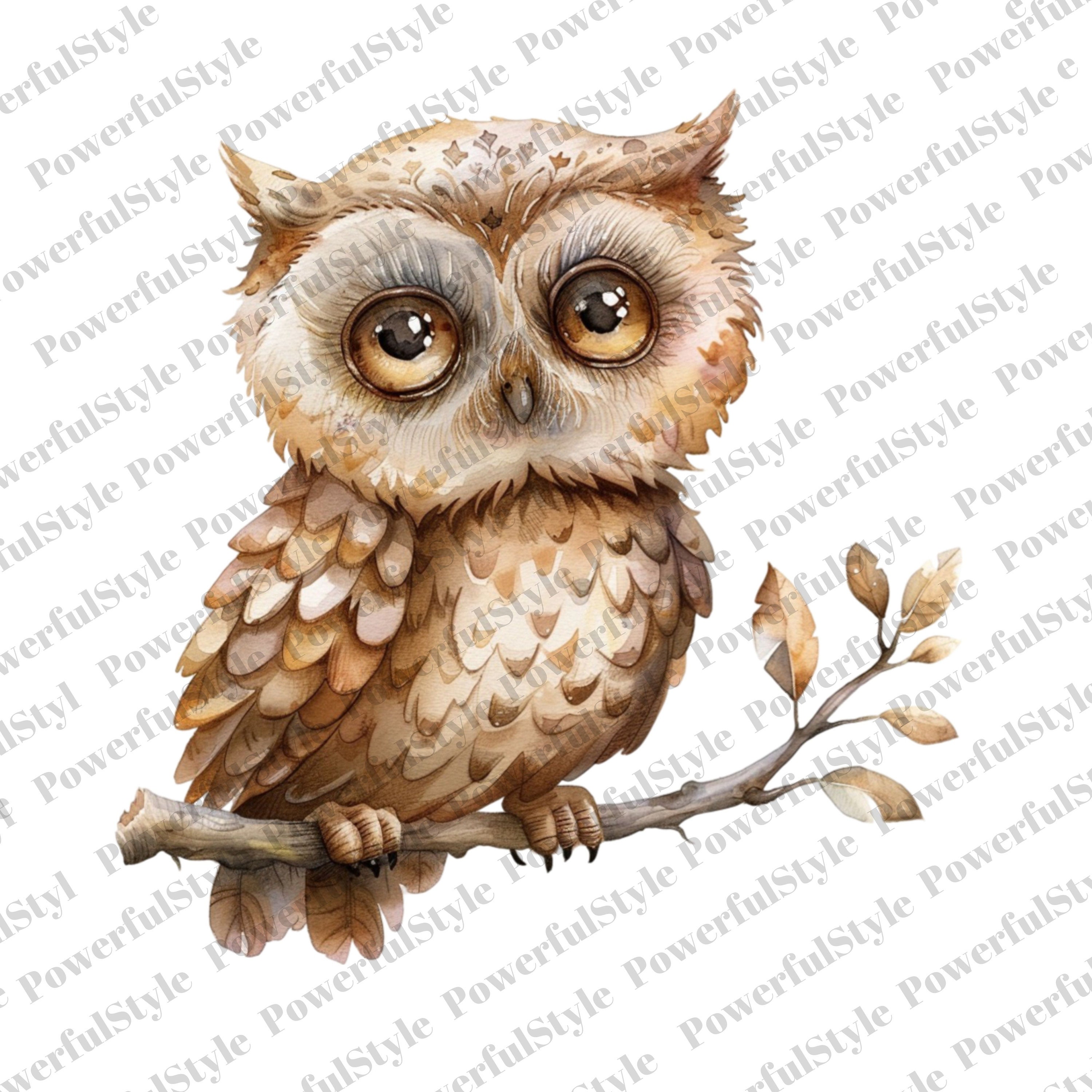 14 Adorable Owl Clipart, Watercolor Owl Illustration, Cute Aquarelle ...