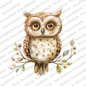 14 Adorable Owl Clipart, Watercolor Owl Illustration, Cute Aquarelle ...