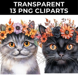 Cats Clipart Bundle Cute Cat PNG Kitten Graphics Happy Baby Animals ...