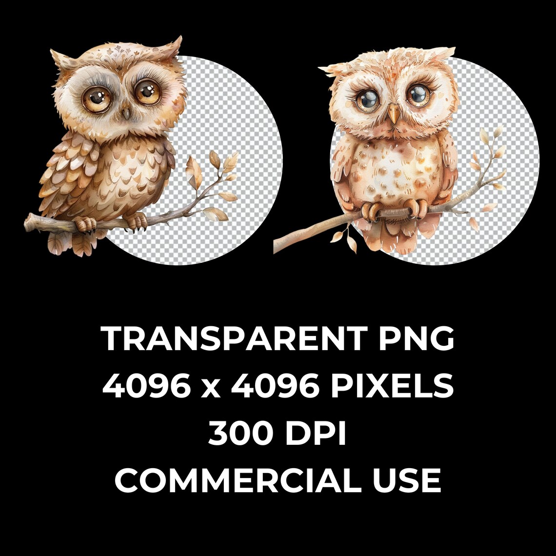 14 Adorable Owl Clipart, Watercolor Owl Illustration, Cute Aquarelle ...