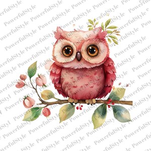 Adorable Baby Owl Clipart Bundle, 20 High-quality PNG With Transparent ...