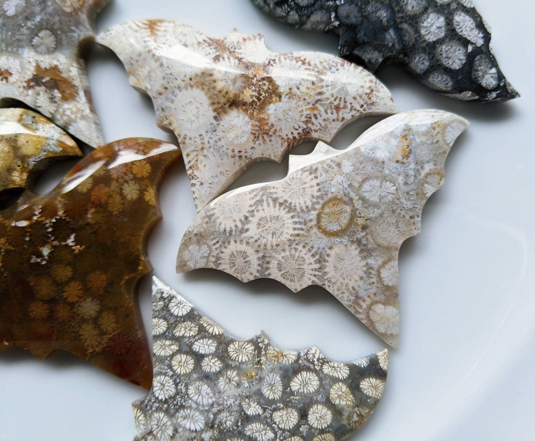 Fossil Coral Bat, Crystal Bat, Polished Fossil Coral Crystal, Witchy ...