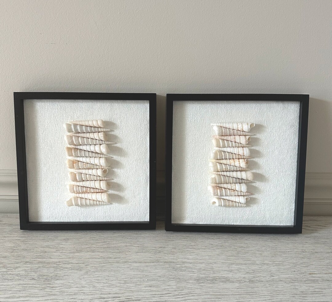 Beautiful 2-piece Set / Mini Mosaic Framed Seashell Wall Art / Nautical ...