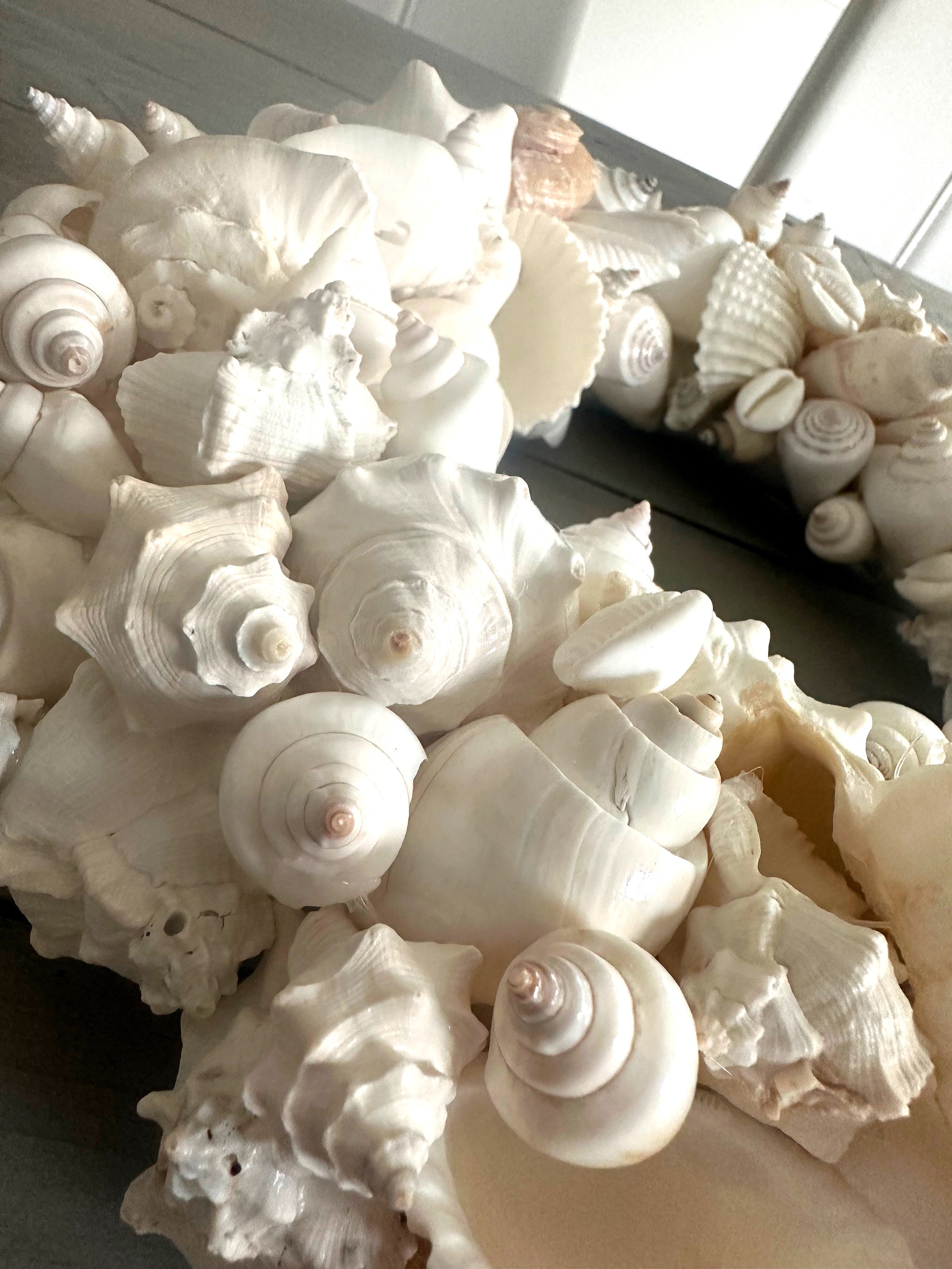 WHITE Shell Christmas Wreath Shell Gift Wedding Gift Beach - Etsy