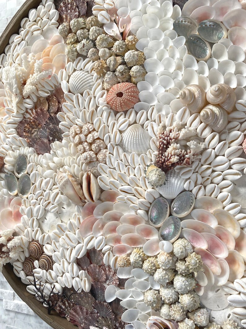 Seashell Wall Mosaic Coastal Art Seashell Mosaic Seashell - Etsy
