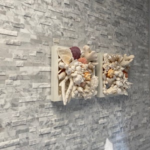 Seashell and CORAL Wall Art Coastal Wall Art Seasell GIFT - Etsy
