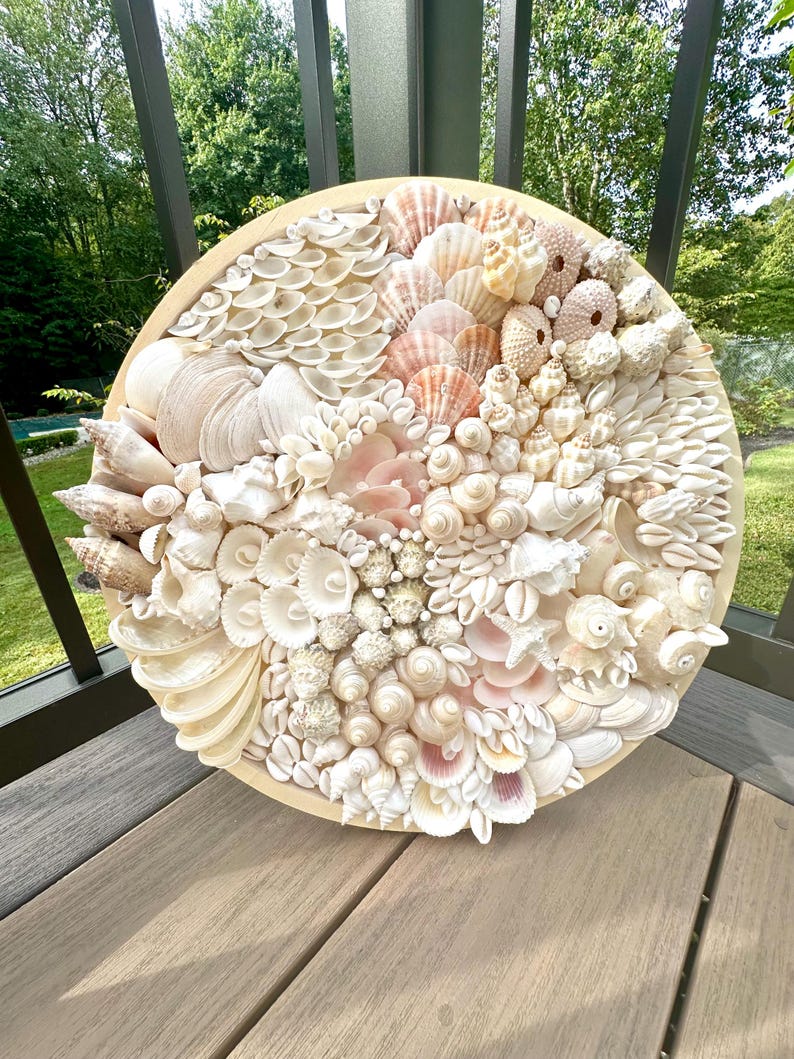 Seashell Wall Art, Coastal Decor, Shell, Beach House Decor - Etsy