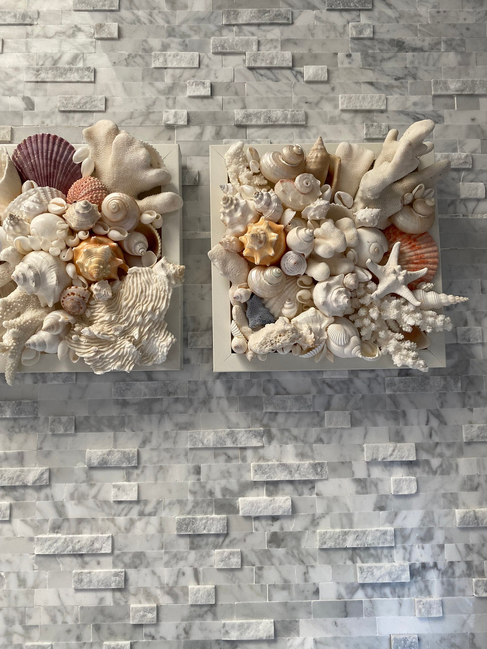 Seashell and CORAL Wall Art Coastal Wall Art Seasell GIFT - Etsy