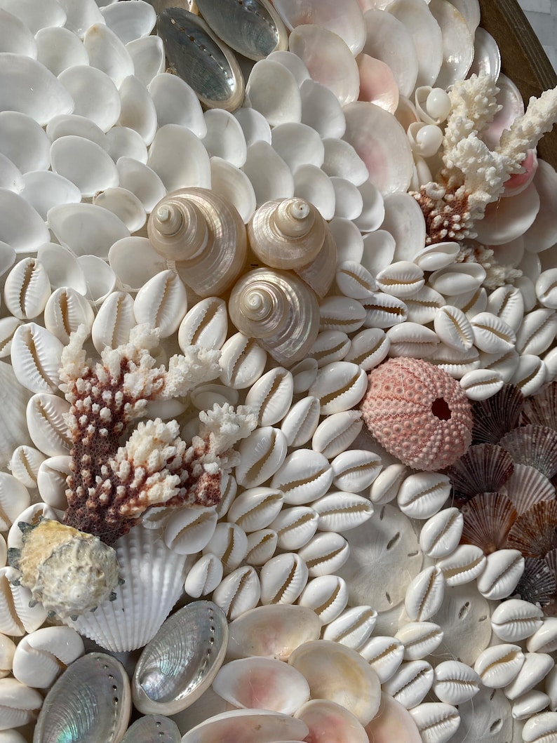 Seashell Wall Mosaic Coastal Art Seashell Mosaic Seashell - Etsy