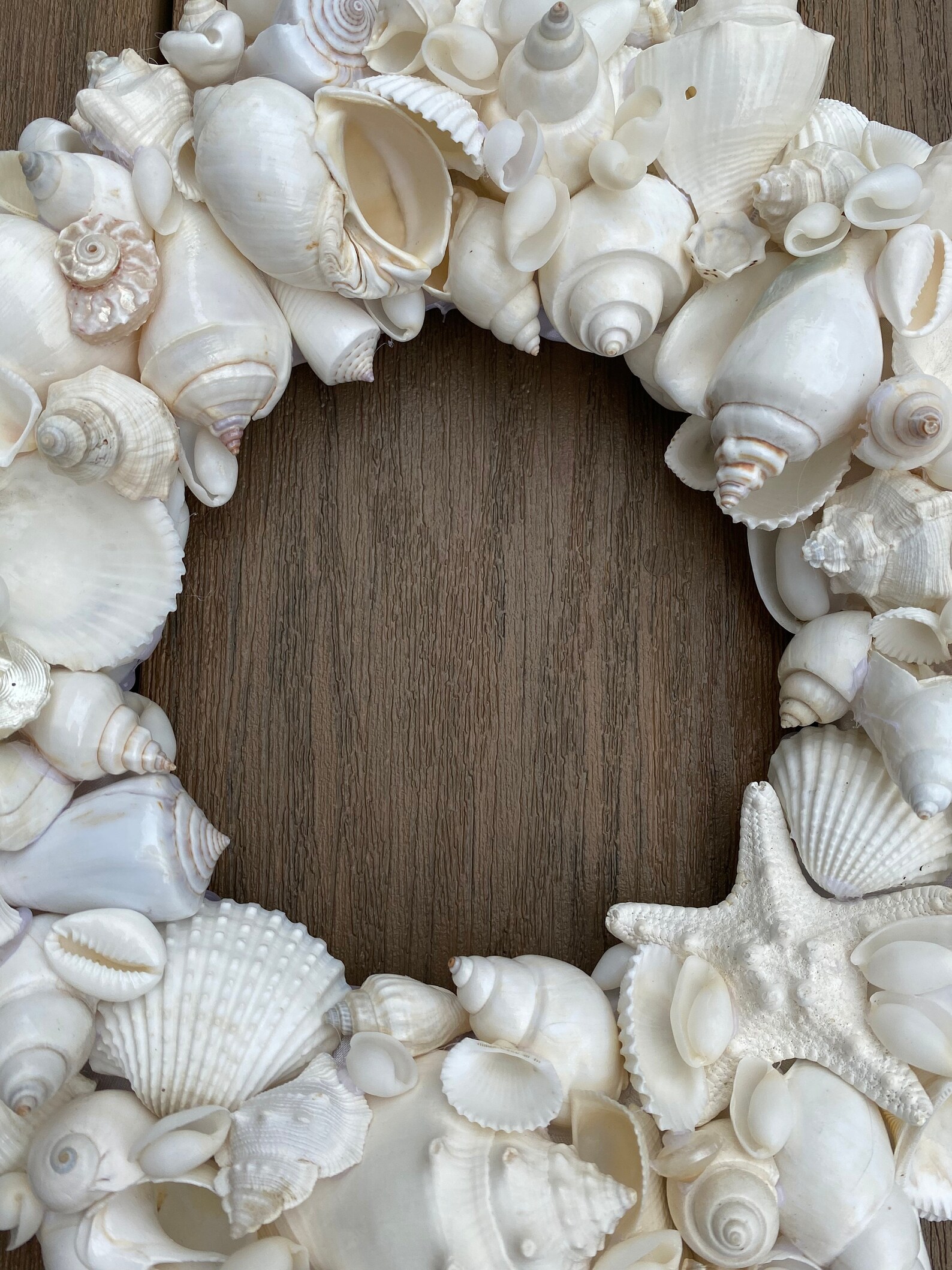 WHITE Shell Christmas Wreath Shell Gift Wedding Gift Beach | Etsy