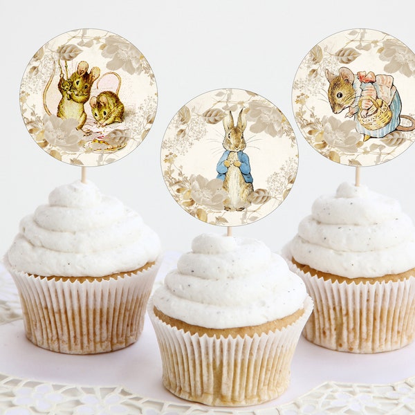 Peter Rabbit Cupcake Topper - Etsy