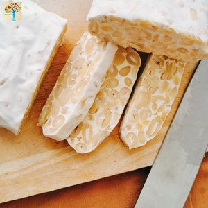 100 G_organic Soy - Free Tempeh Starter - Tempe Culture - Rhizopus ...