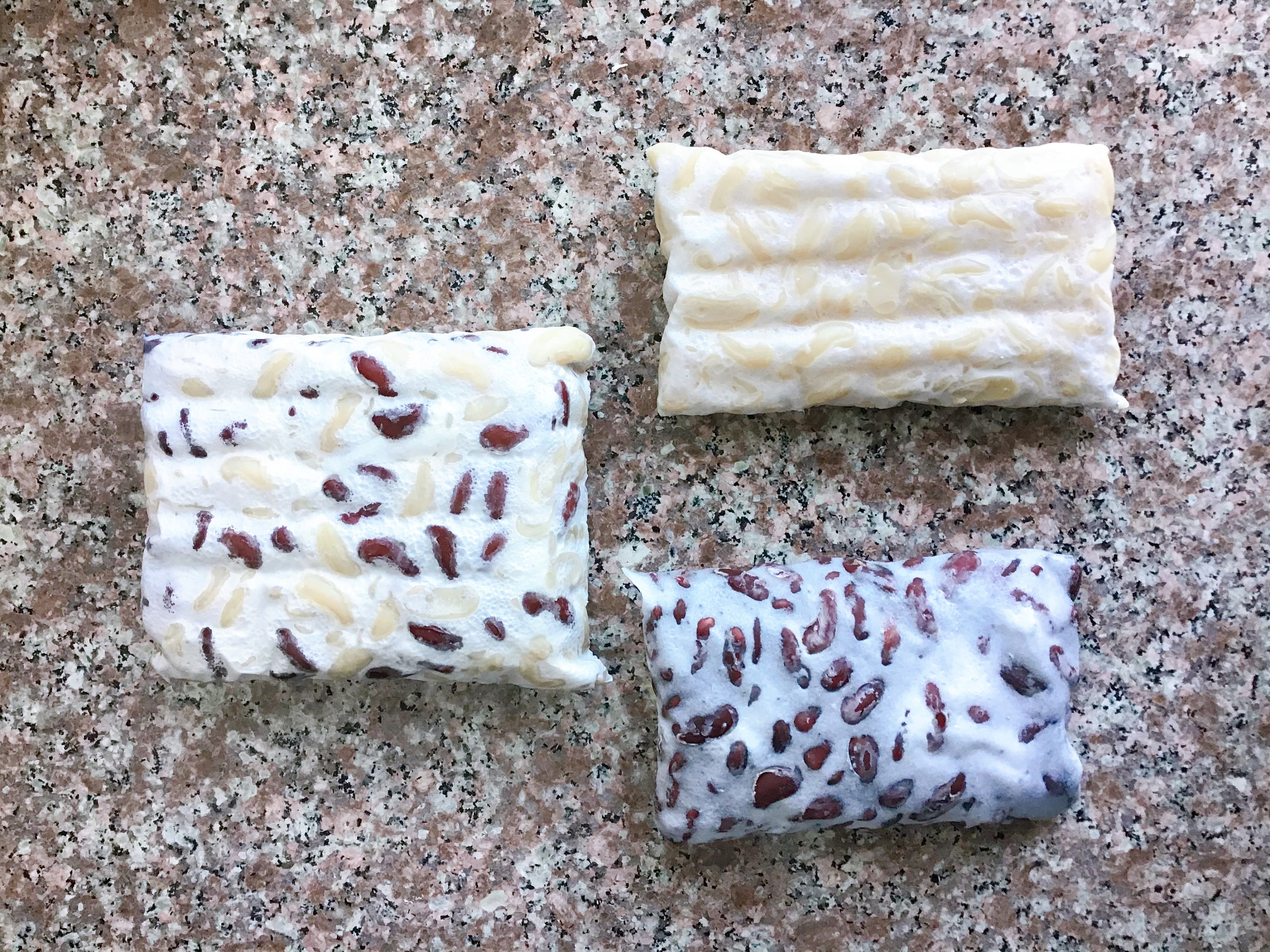 20g_50g_Trial package Organic Soy-free Tempeh Starter Tempe | Etsy