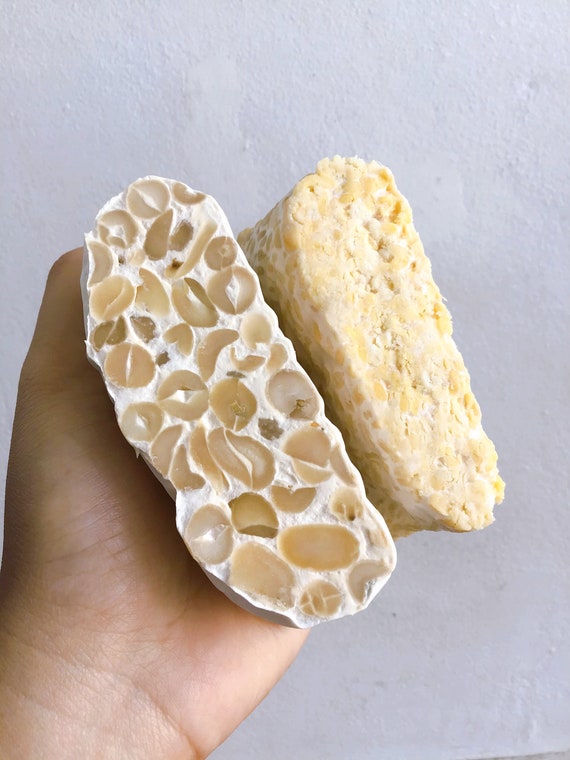 20g_50g_Trial package Organic Soy-free Tempeh Starter Tempe | Etsy