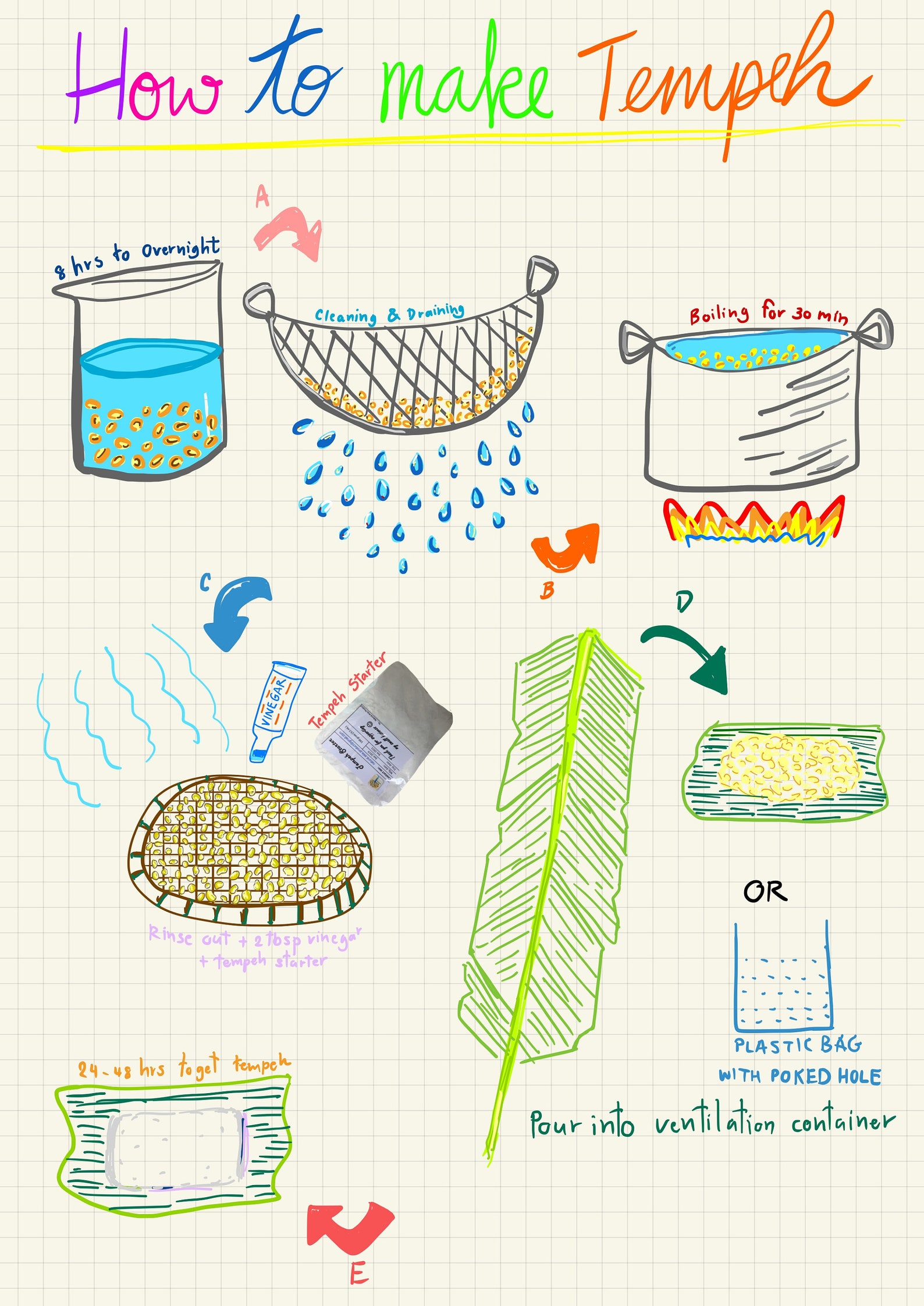 100 G_organic Soy Free Tempeh Starter Tempe Culture - Etsy