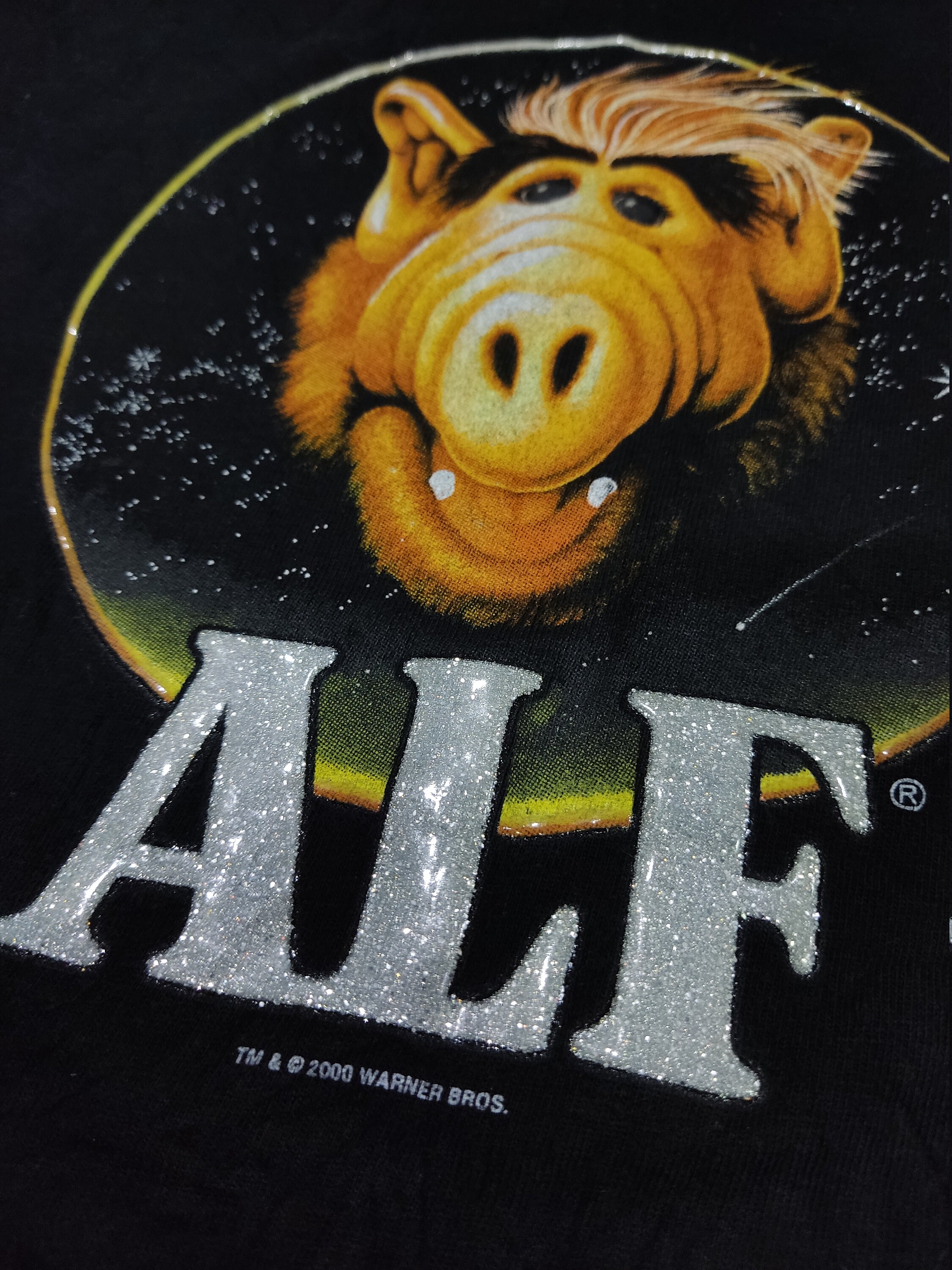 Vintage 2000 ALF the Animated Series T-shirt, Coolest Screen, Size L 21 ...