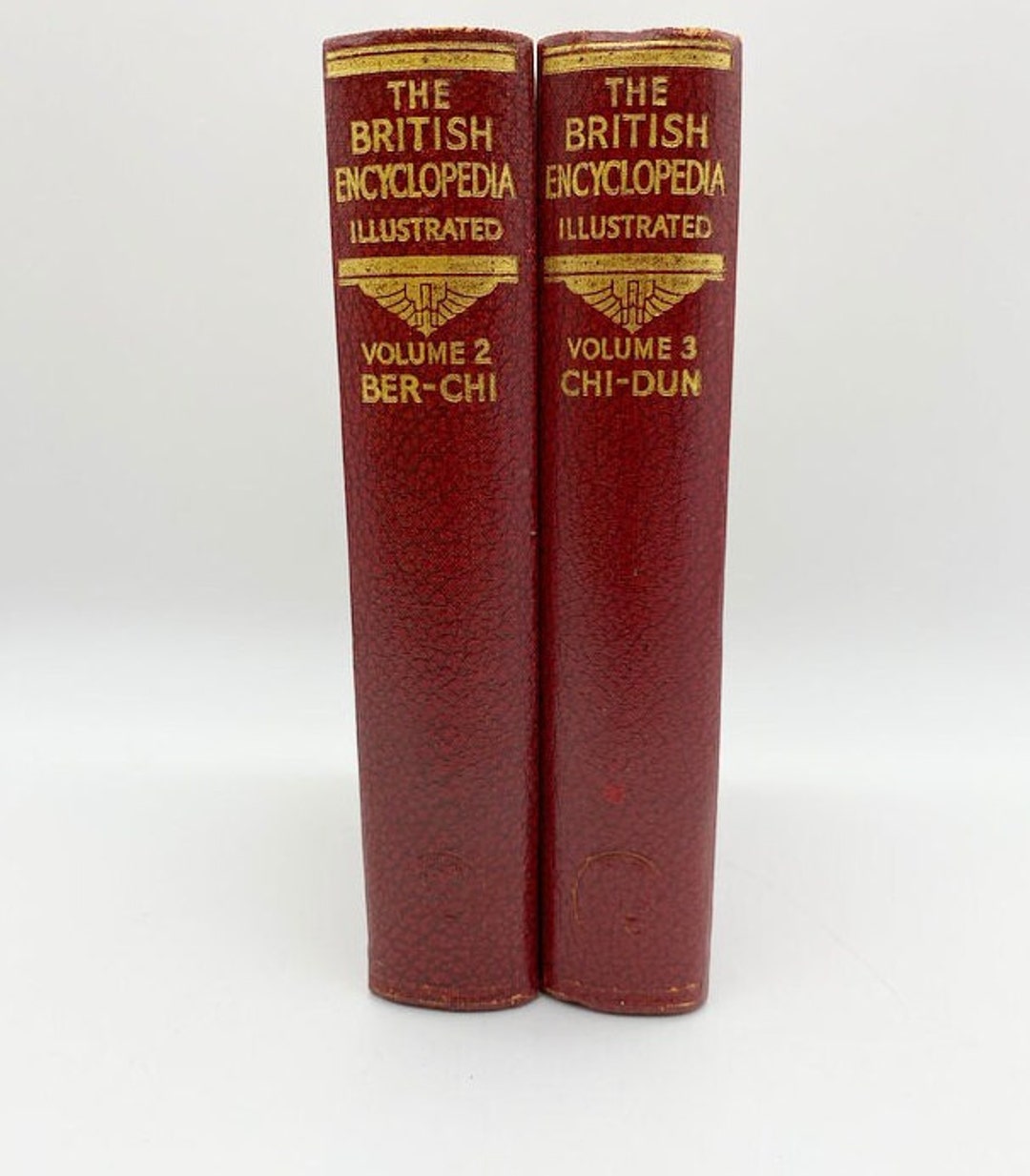 The British Encyclopaedia Illustrated Vol 2 & 3 1933 - Etsy