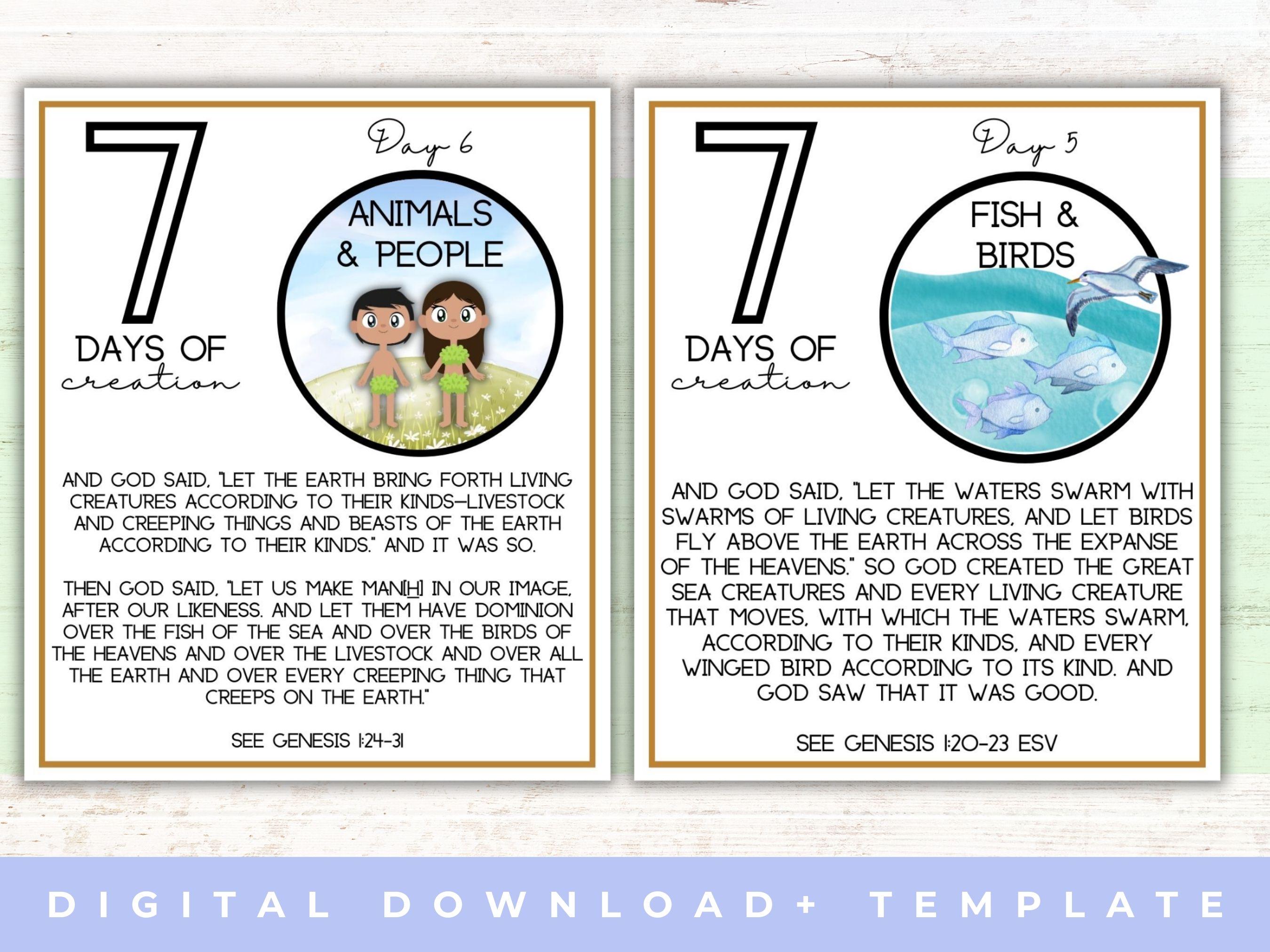 7 Days of Creation Printable Cards | Genesis | Sunday School | - Etsy ...