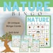 Nature Bingo Printable | Nature Study | Backyard Scavenger Hunt ...