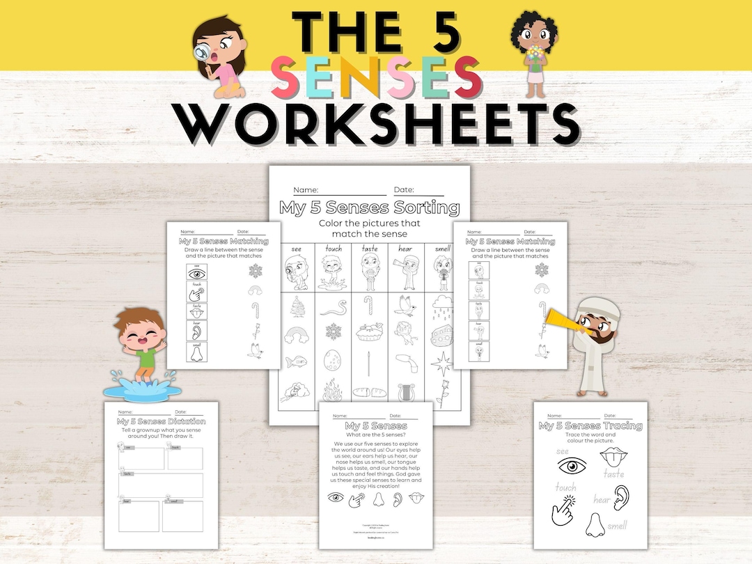 My 5 Senses Worksheets | Preschool | Kindergarten | Printable ...