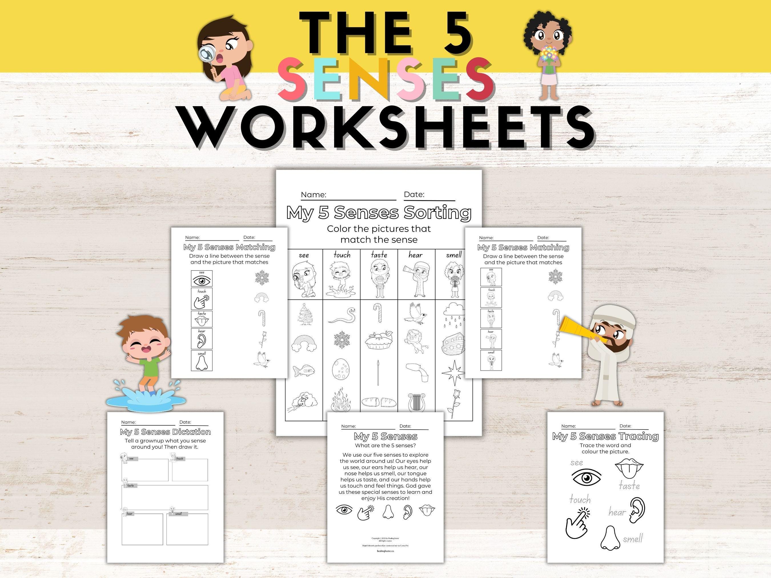 My 5 Senses Worksheets | Preschool | Kindergarten | Printable ...