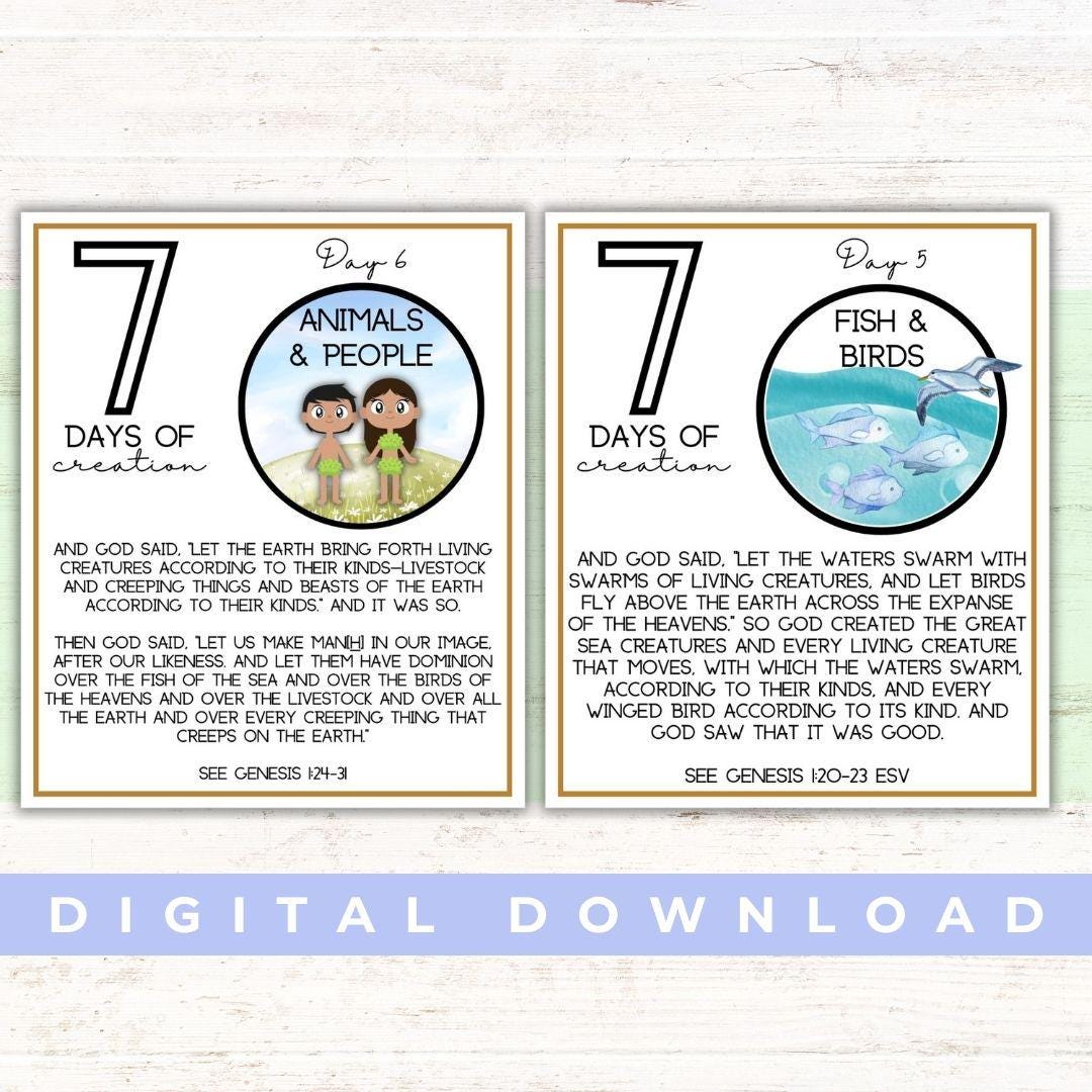 7 Days of Creation Printable Cards | Genesis | Sunday School | - Etsy