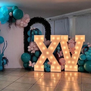 XV Party Decor Light up Bulbs Letters 15th Birthday Sign Backdrop ...