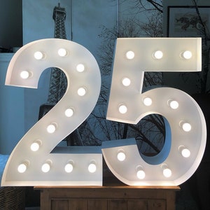 4ft 3ft Large Birthday Numbers 48 Inches Big Giant Marquee Numbers ...