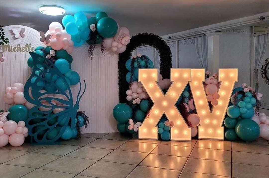 XV Party Decor Light up Bulbs Letters 15th Birthday Sign Backdrop ...