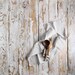 Chippy Paint Wooden Photography Backdrop White Distressed Wood Photo ...