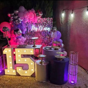 XV Party Decor Light up Bulbs Letters 15th Birthday Sign Backdrop ...