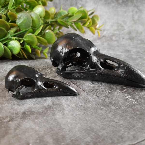 Raven Skull - Etsy