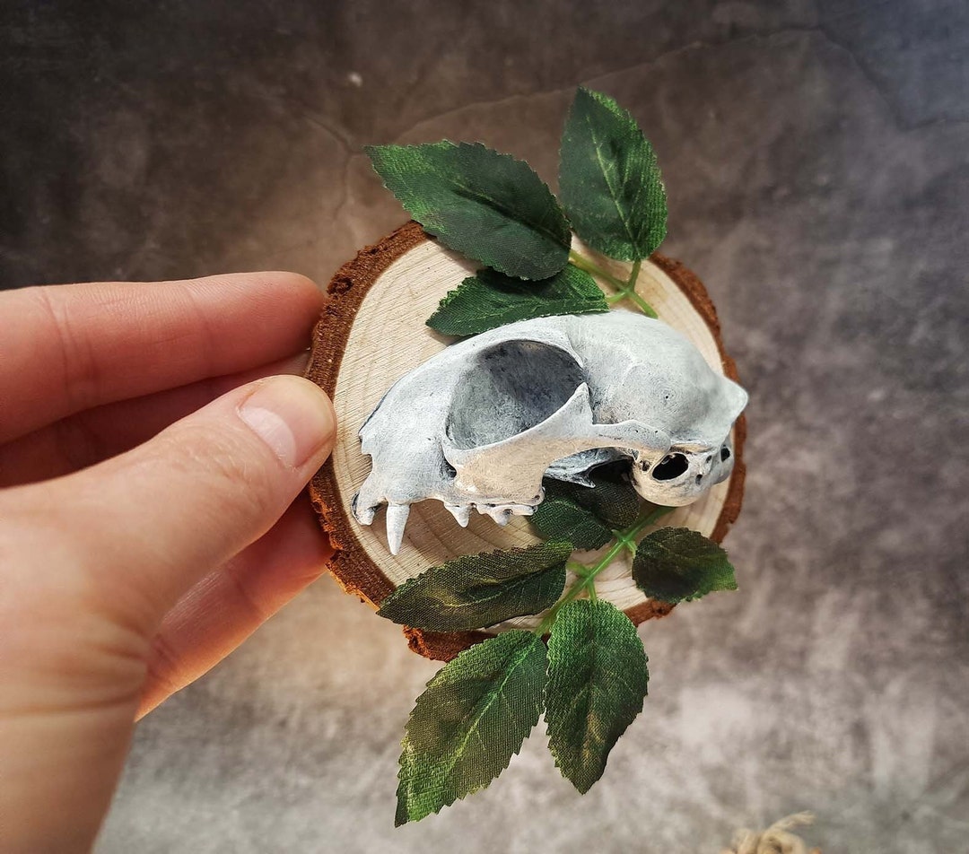 Cat Skull Replica With Leaves 3D Image - Etsy