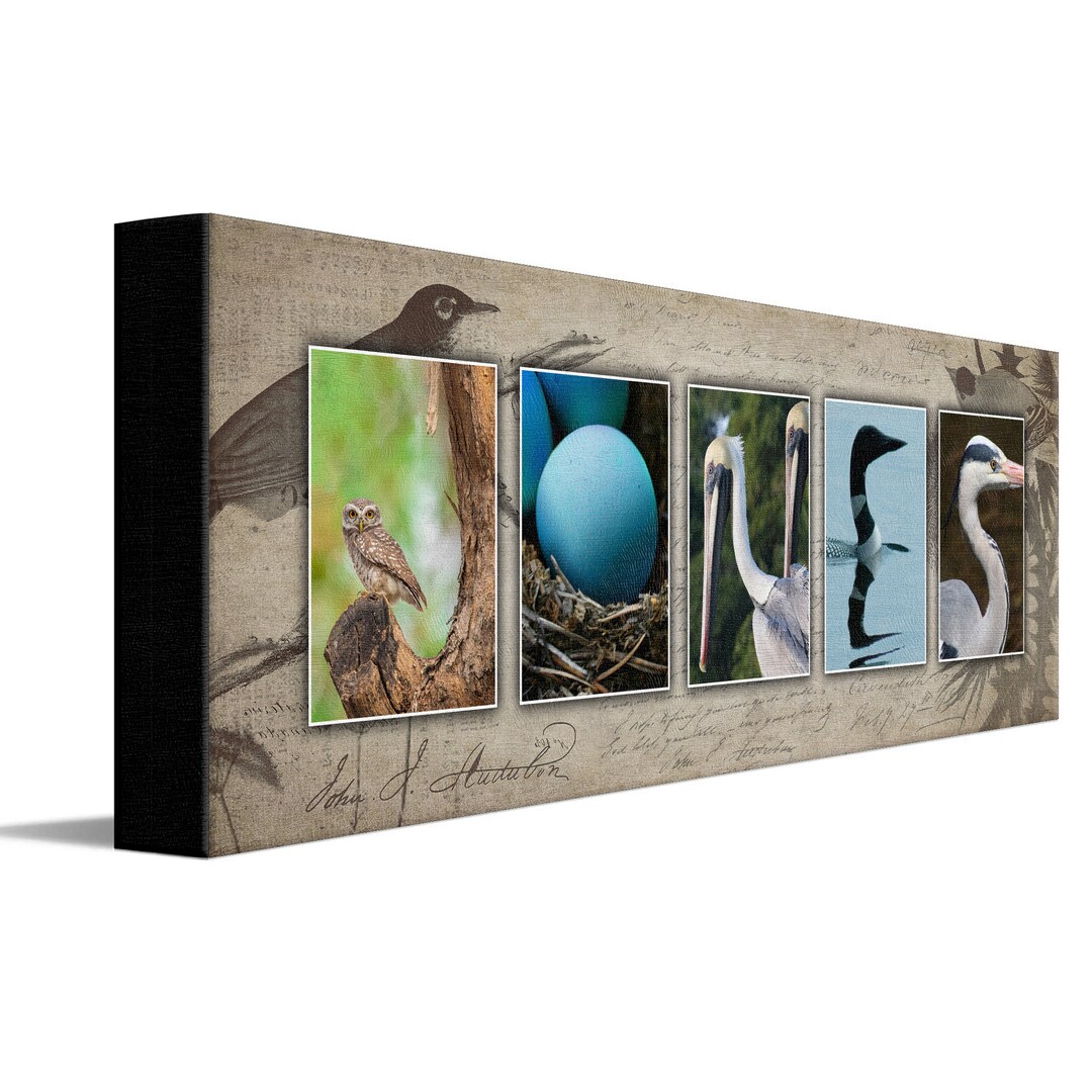 Bird Watching Name Art | Birder Gift Idea | Your Name Personalized With ...