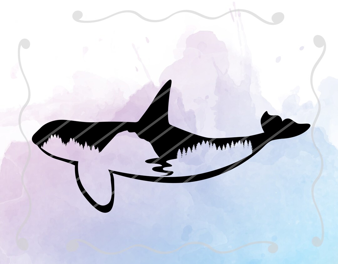 Orca Decal, Killer Whale Decal, SVG, Die Cut, Digital Illustration ...