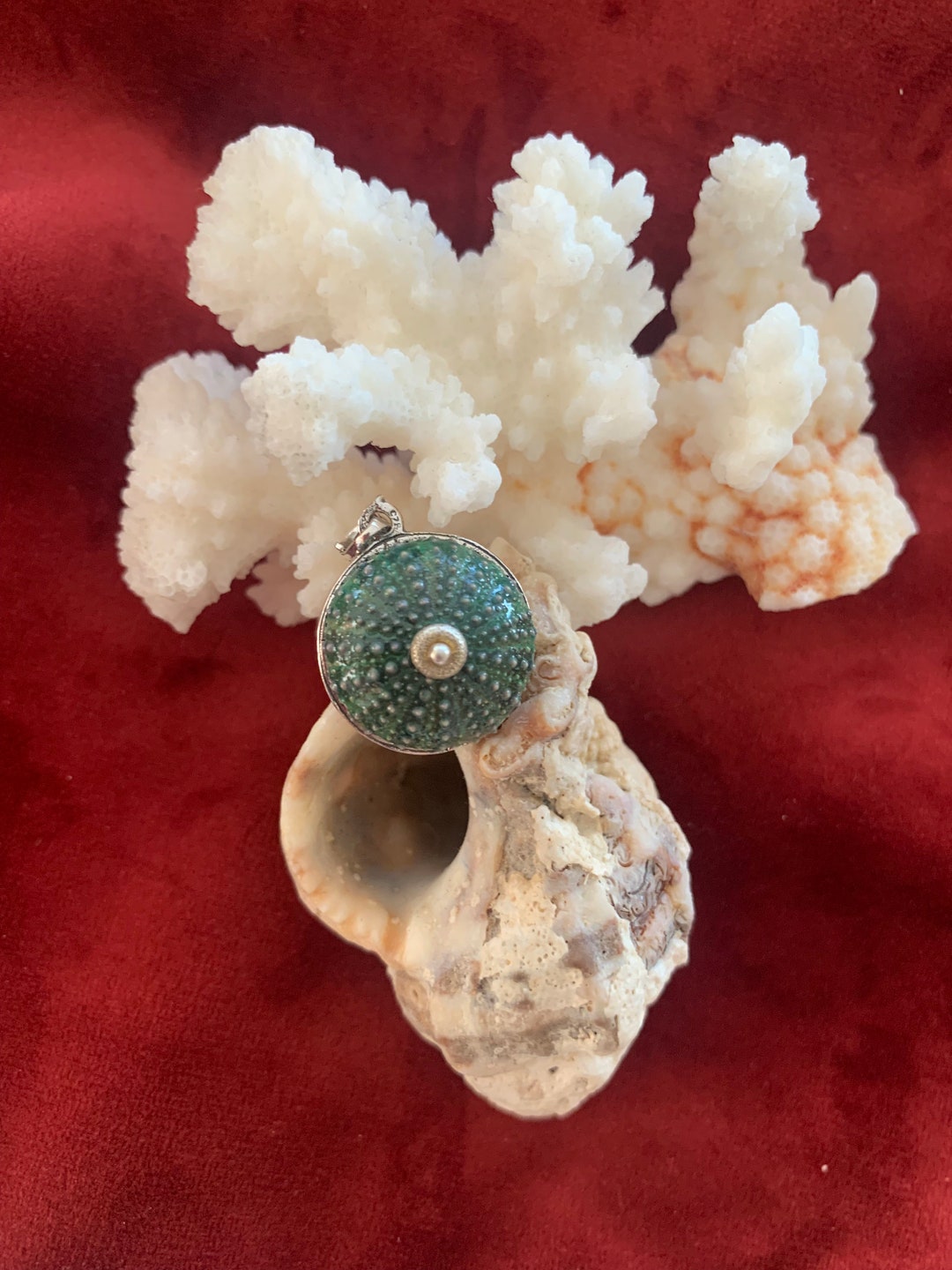 Reinforced Natural Green Sea Urchin Shell Pendant – Silver (925 ...