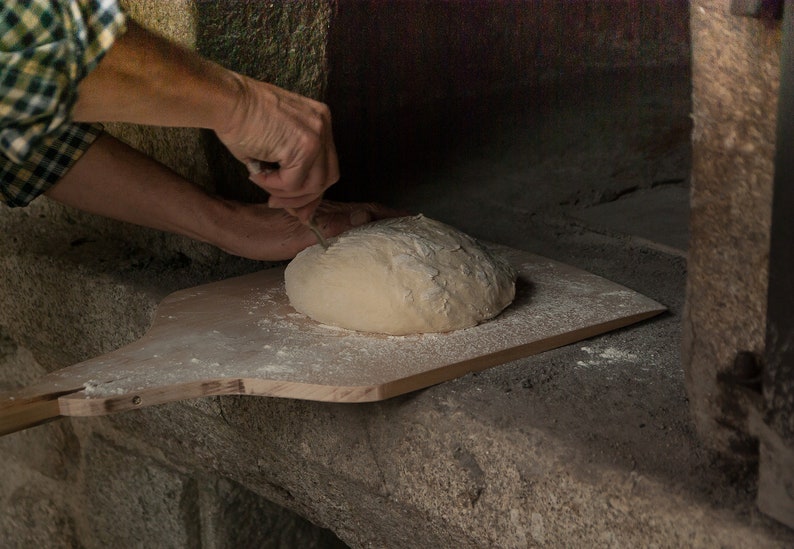 RECIPE GUIDE: 16th Century Modernized Cheat Bread - Etsy