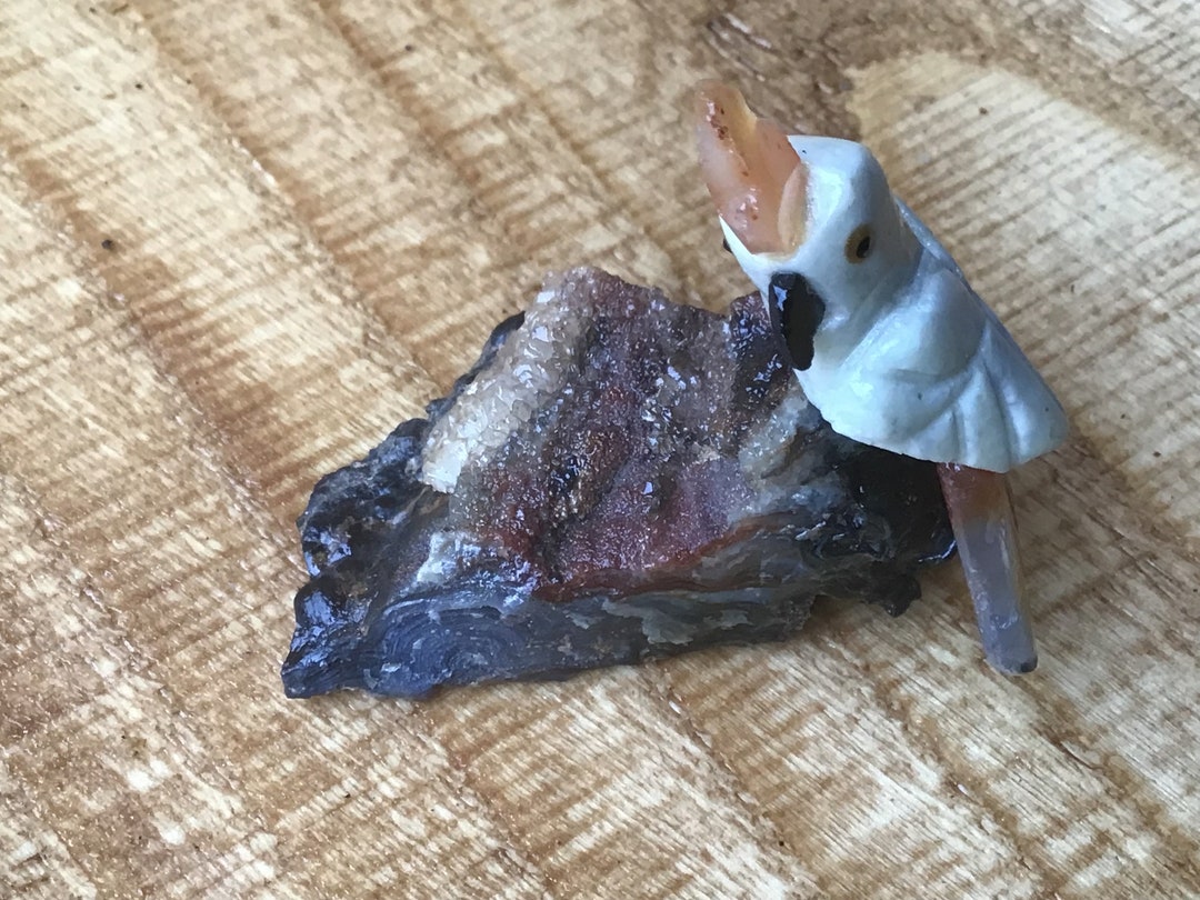 Hand-carved Stone Bird World Parrots on Stone - Etsy